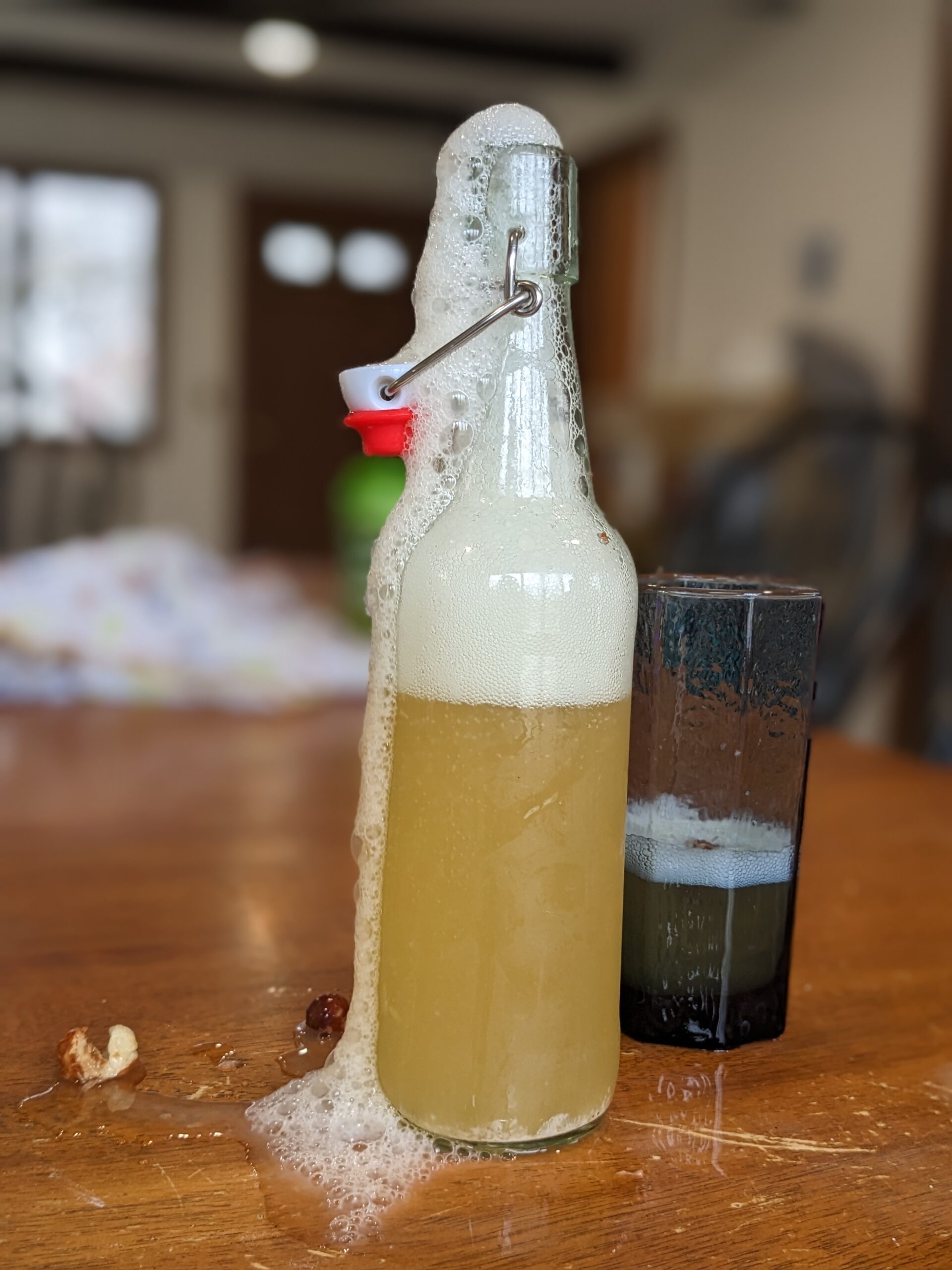 Grapefruit Sima: A Twist on the Finnish Fermented Classic - Sisu Homemaker