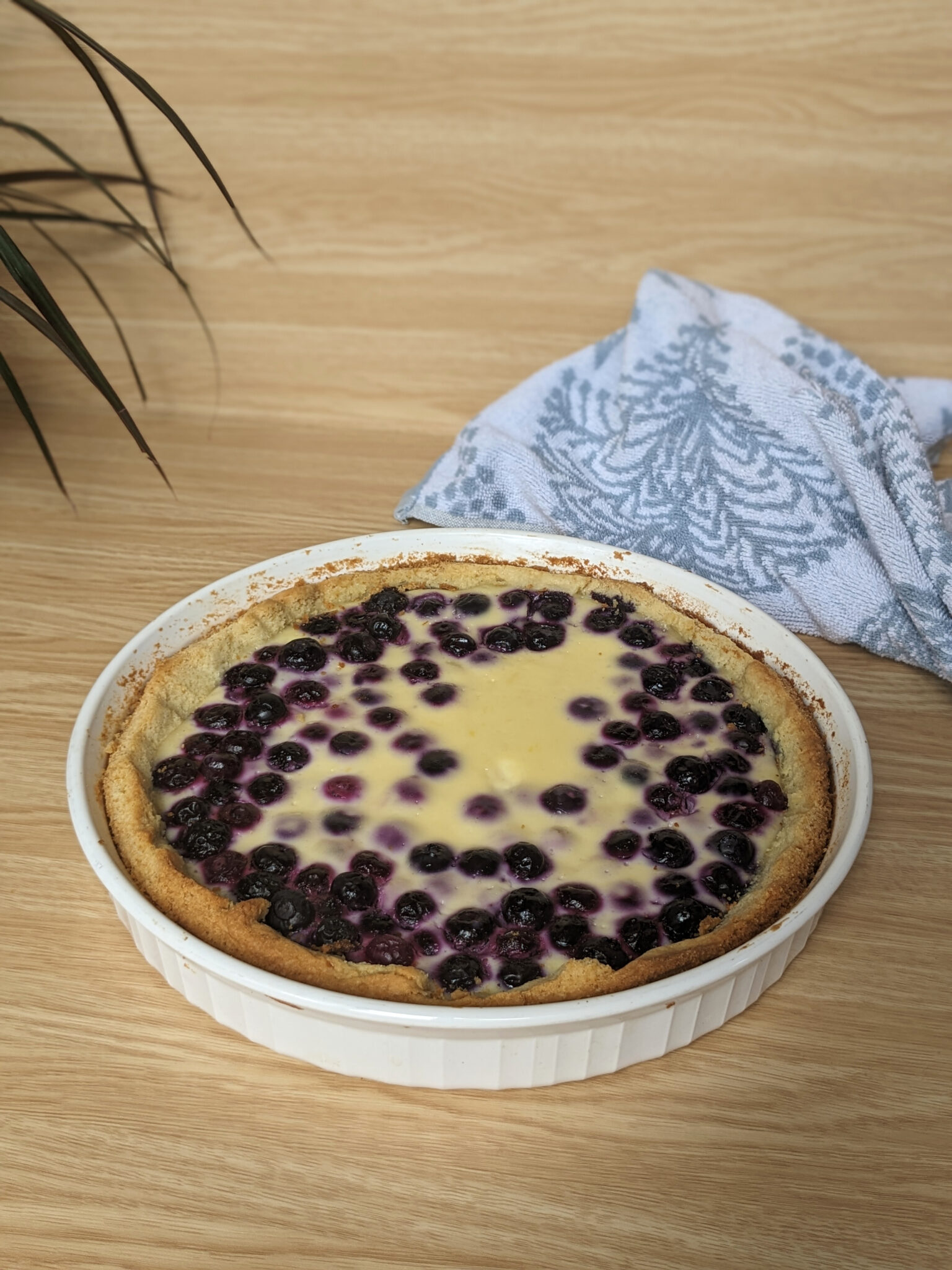How to Make Finnish Blueberry Pie (Mustikkapiirakka) - Sisu Homemaker