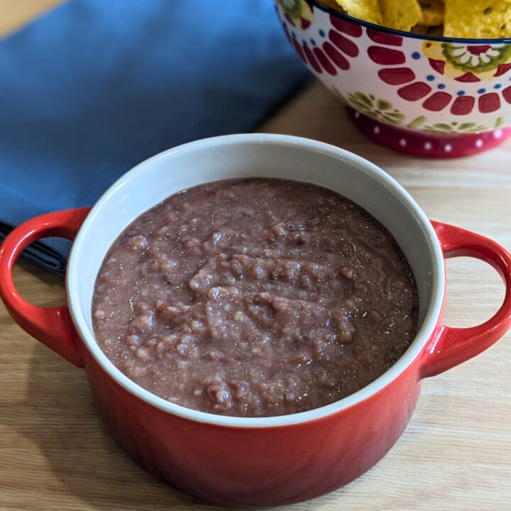 Easy Fermented Fruit Salsa - Sisu Homemaker