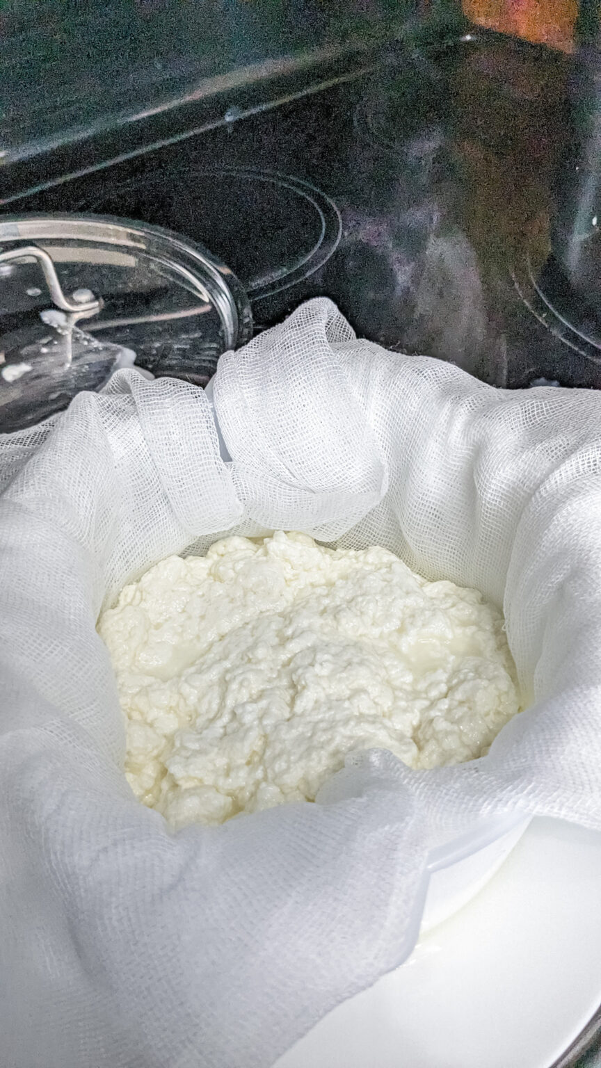 Finnish Squeaky Cheese (Leipäjuusto) - Sisu Homemaker